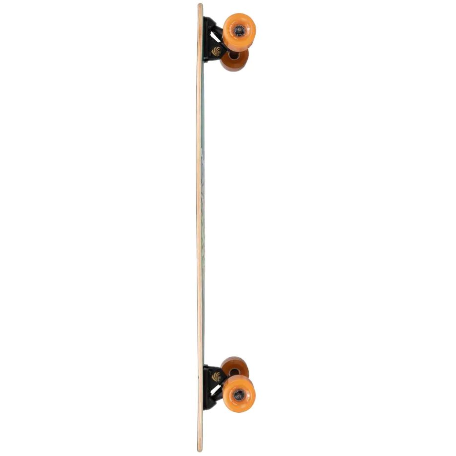 Arbor Artist Fish Pintail Complete Longboard - Multi 37'' | SkateHut