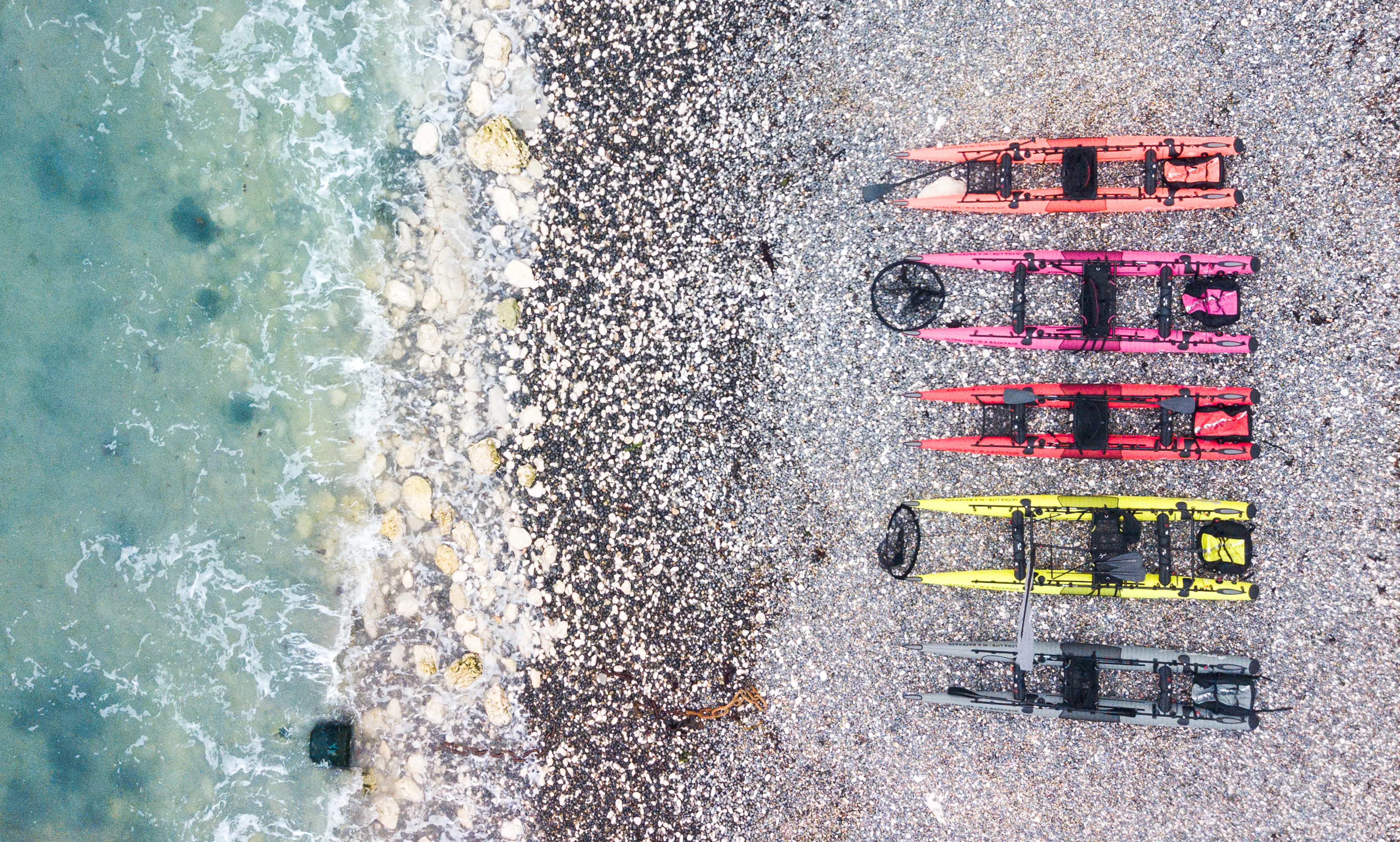 Kayacat Puma - Yellow | SkateHut